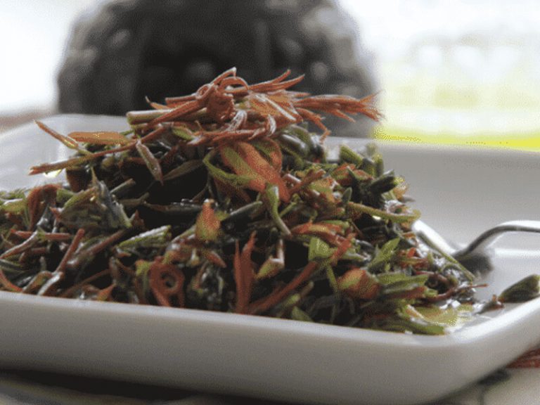 Işgın Otu Nedir? Işgın Otunun Faydaları Nelerdir?