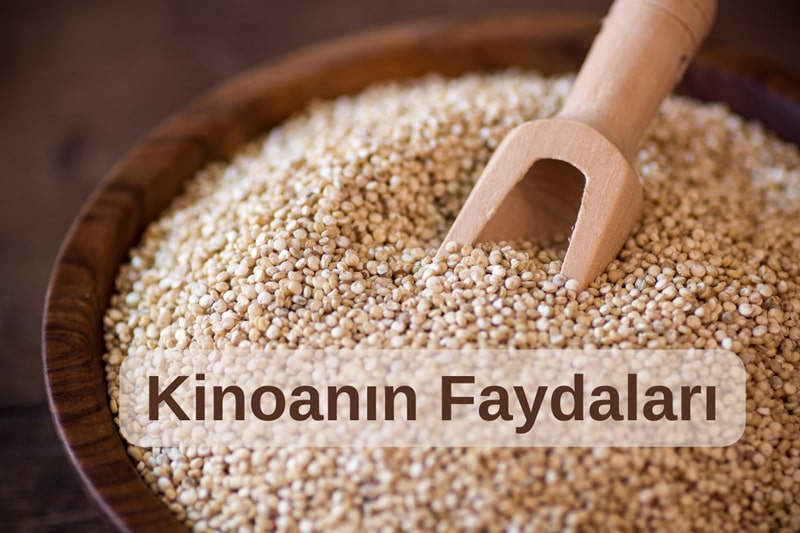Kinoa Nedir? Nasıl Yenir? Faydaları Nelerdir? Kinoa Nedir? Nasıl Yenir? Faydaları Nelerdir?