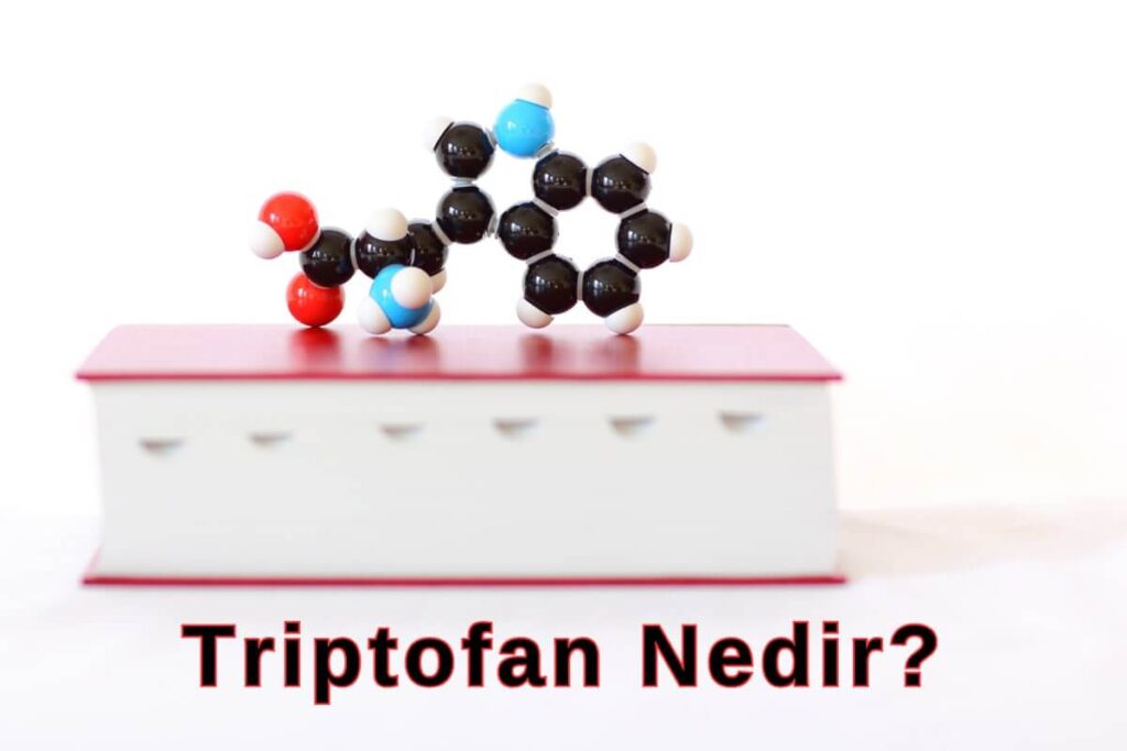 Triptofan Nedir, Faydaları ve Zararları Nelerdir?